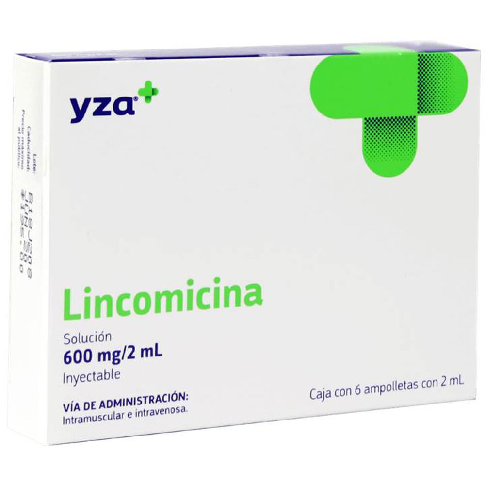Yza Lincomicina 600Mg/2Ml 6 Amp